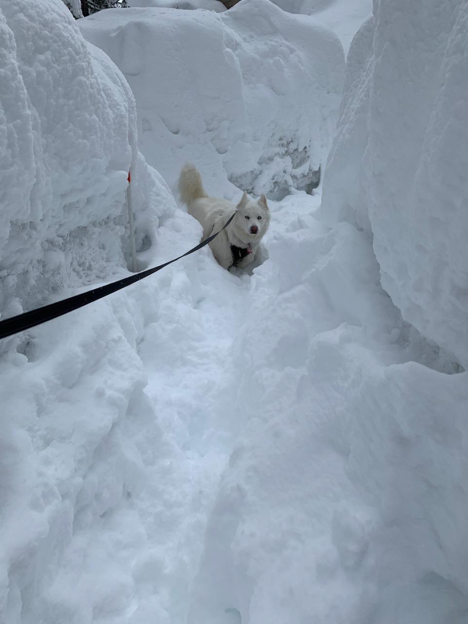 Record Snowfall Buries Townhomes! – Carnelian Woods